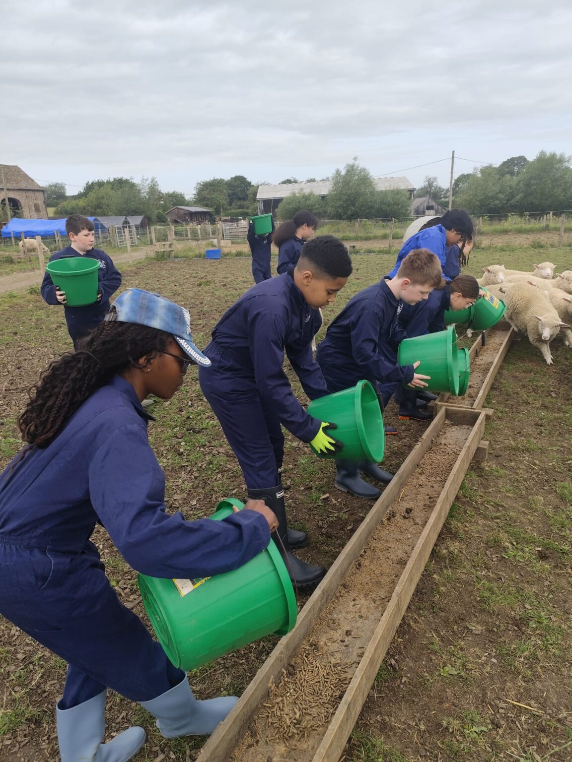 Wick Court – Friars Primary Foundation School