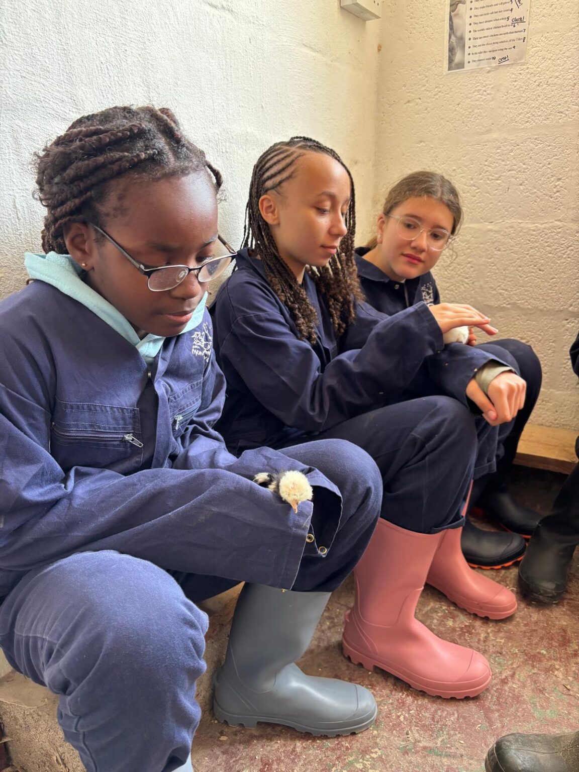 Wick Court – Friars Primary Foundation School