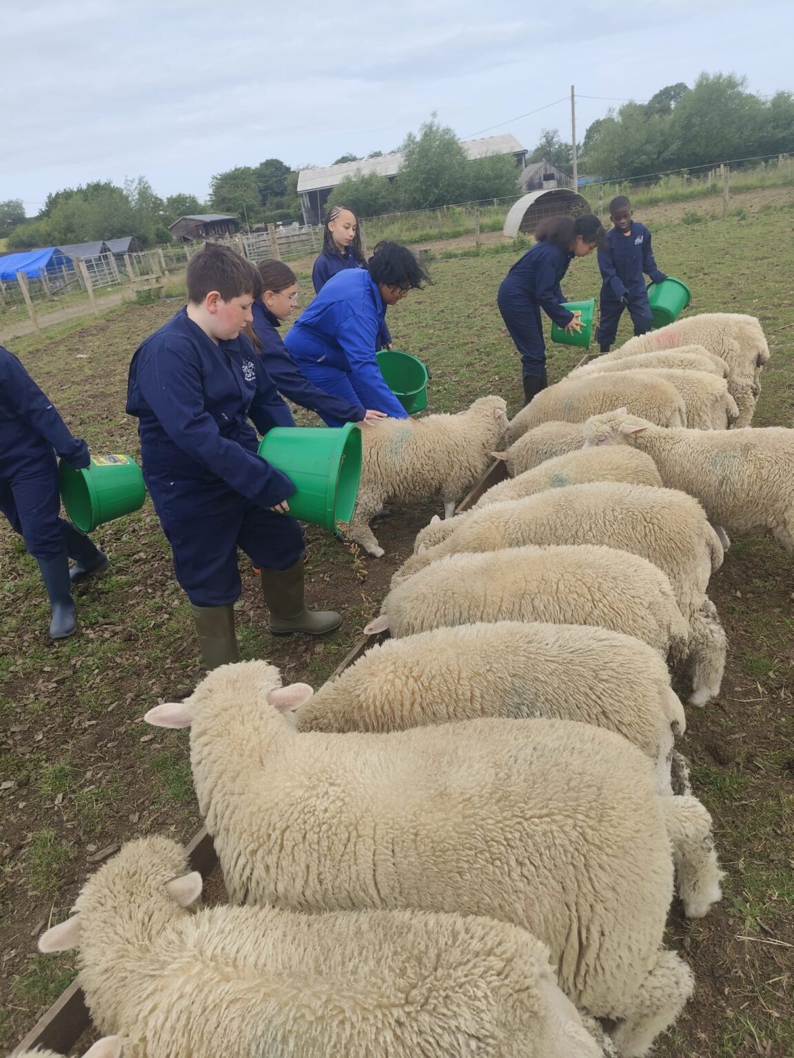 Wick Court – Friars Primary Foundation School